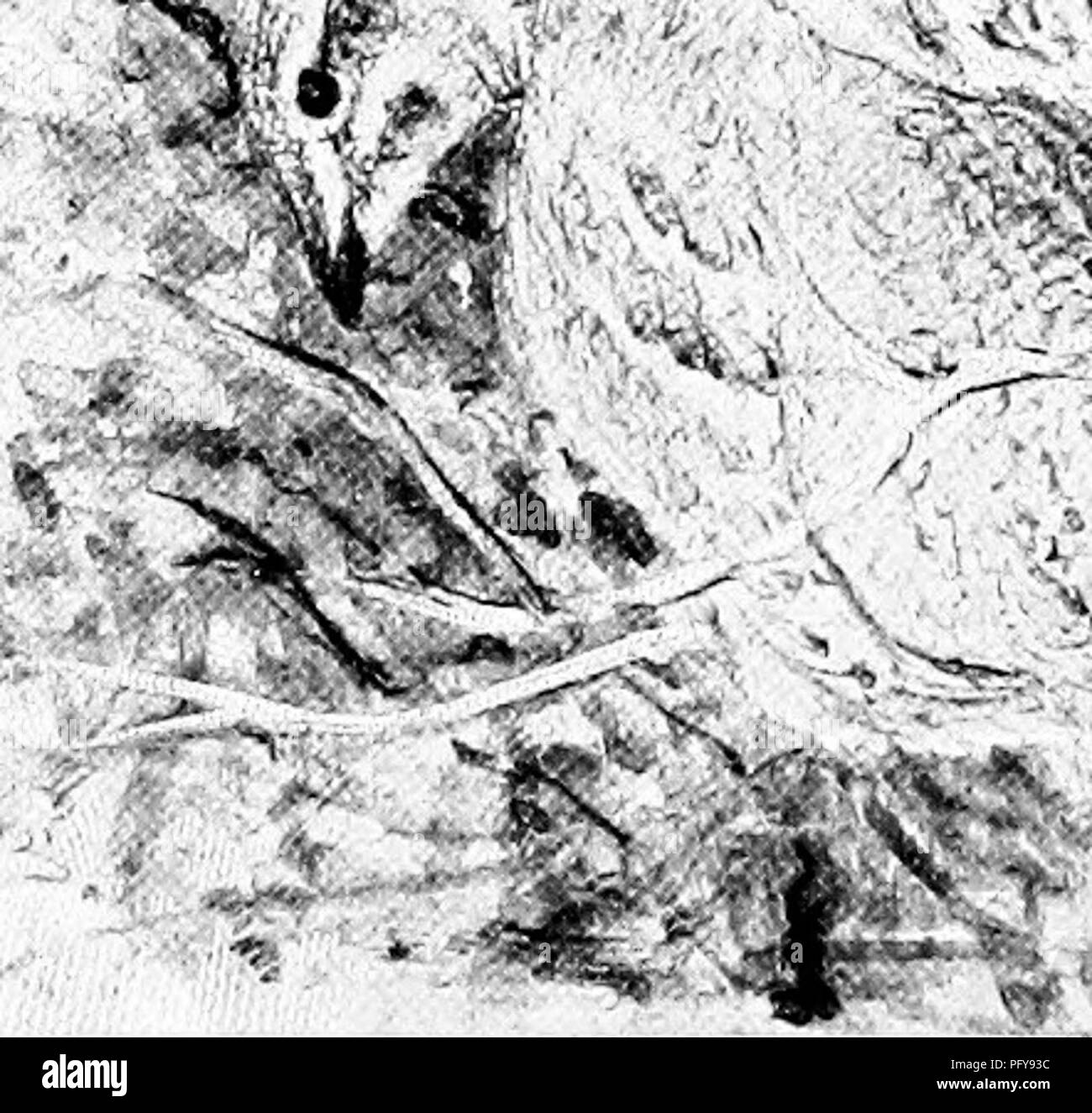 This collection of articles from National Geographic covers various ...