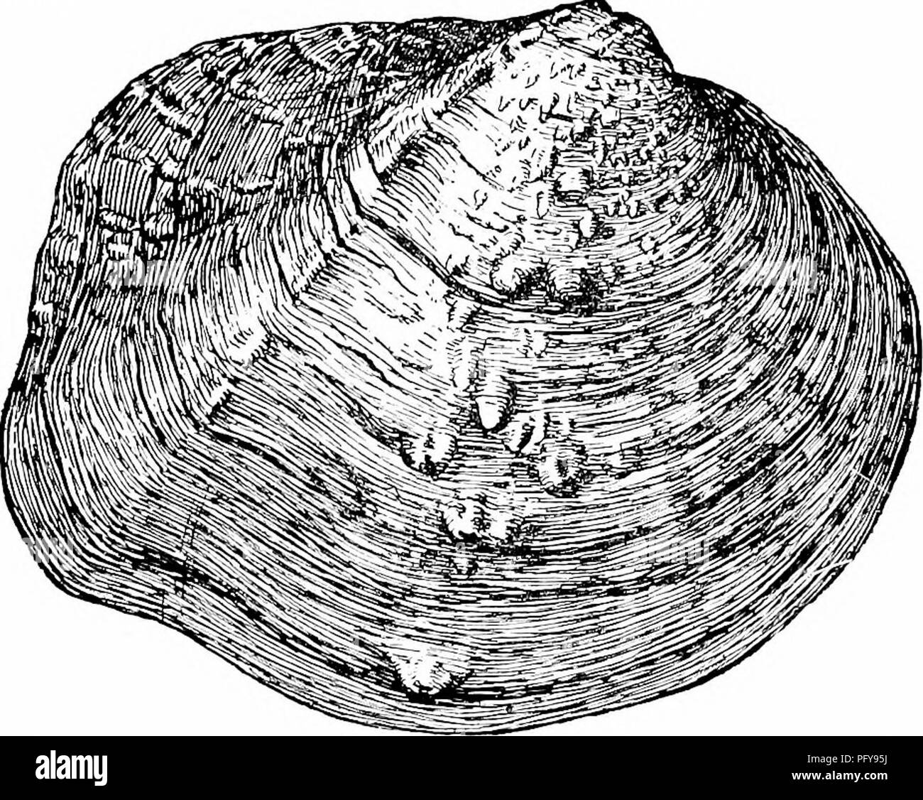 Radial rayed hi-res stock photography and images - Alamy