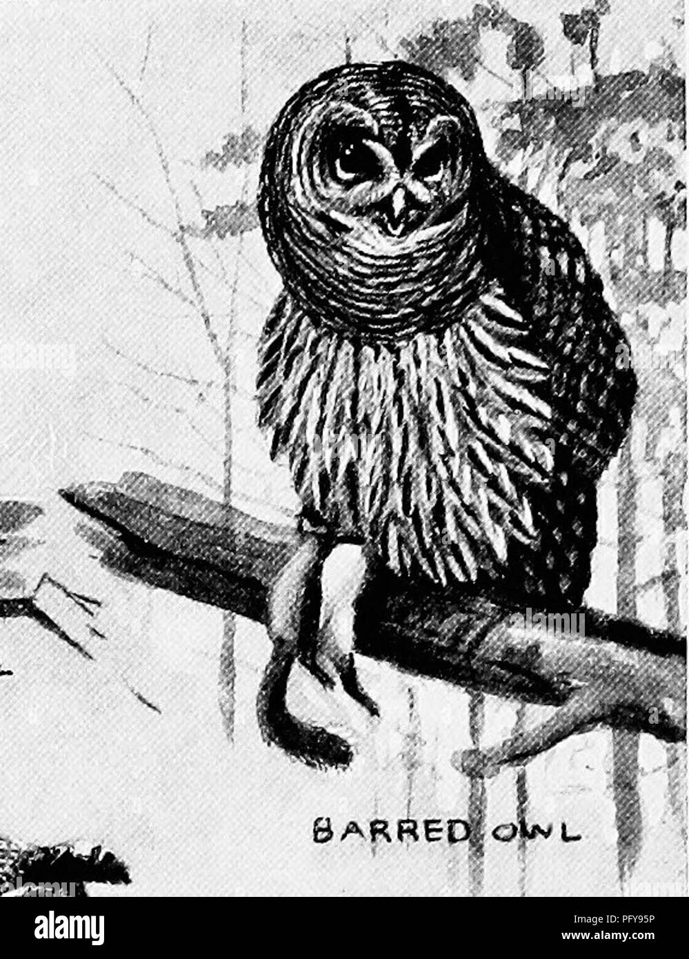 To kill a kingdom Black and White Stock Photos & Images - Alamy