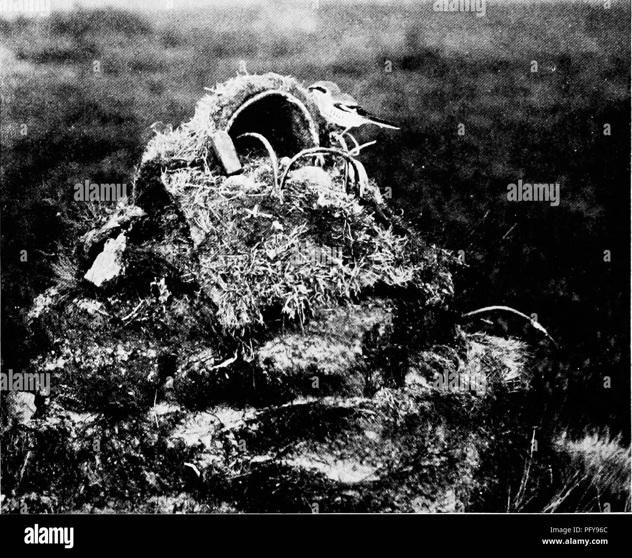 Prairie lookout Black and White Stock Photos & Images - Alamy