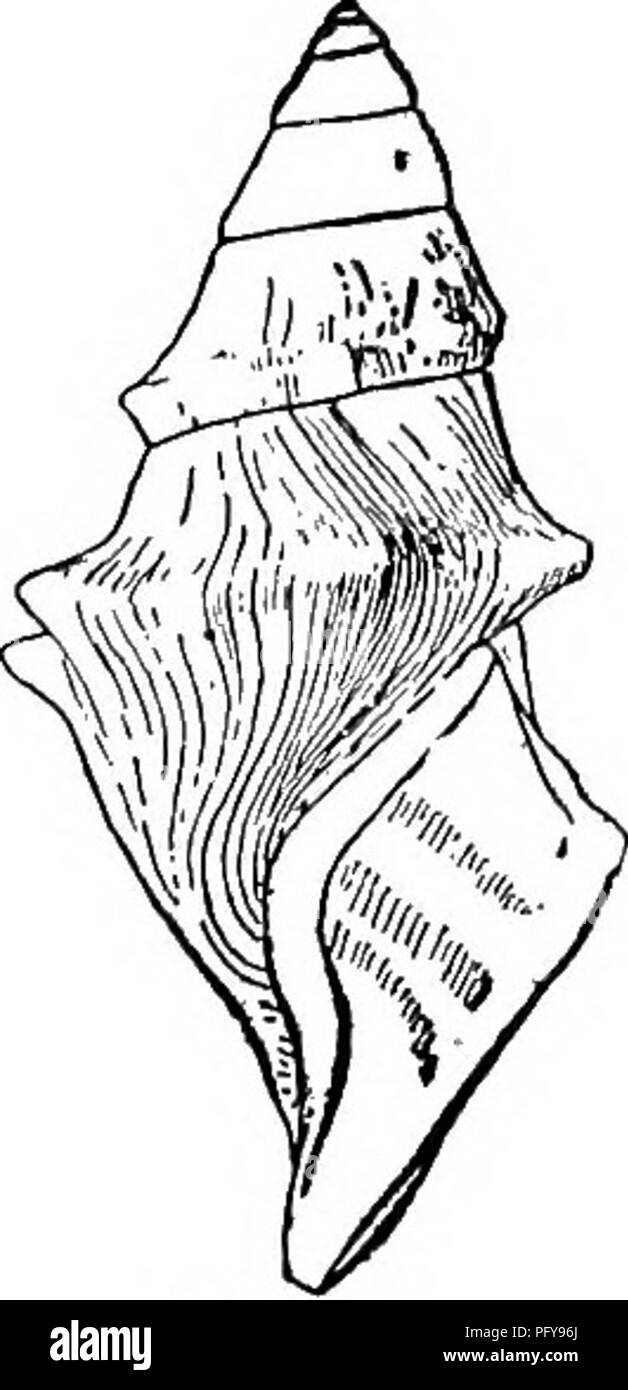 Em ward hi-res stock photography and images - Alamy