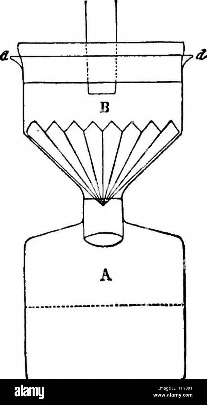 This is a scientific illustration from a laboratory guide on the ...