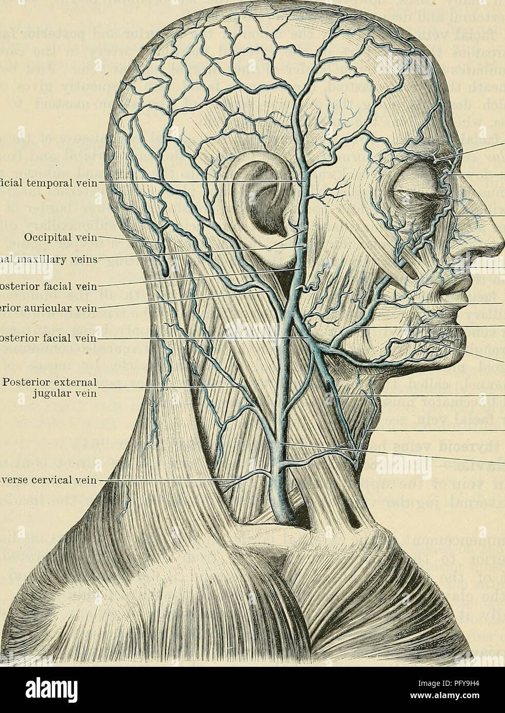 Cunningham's Text-book of Anatomy provides a detailed overview of the ...