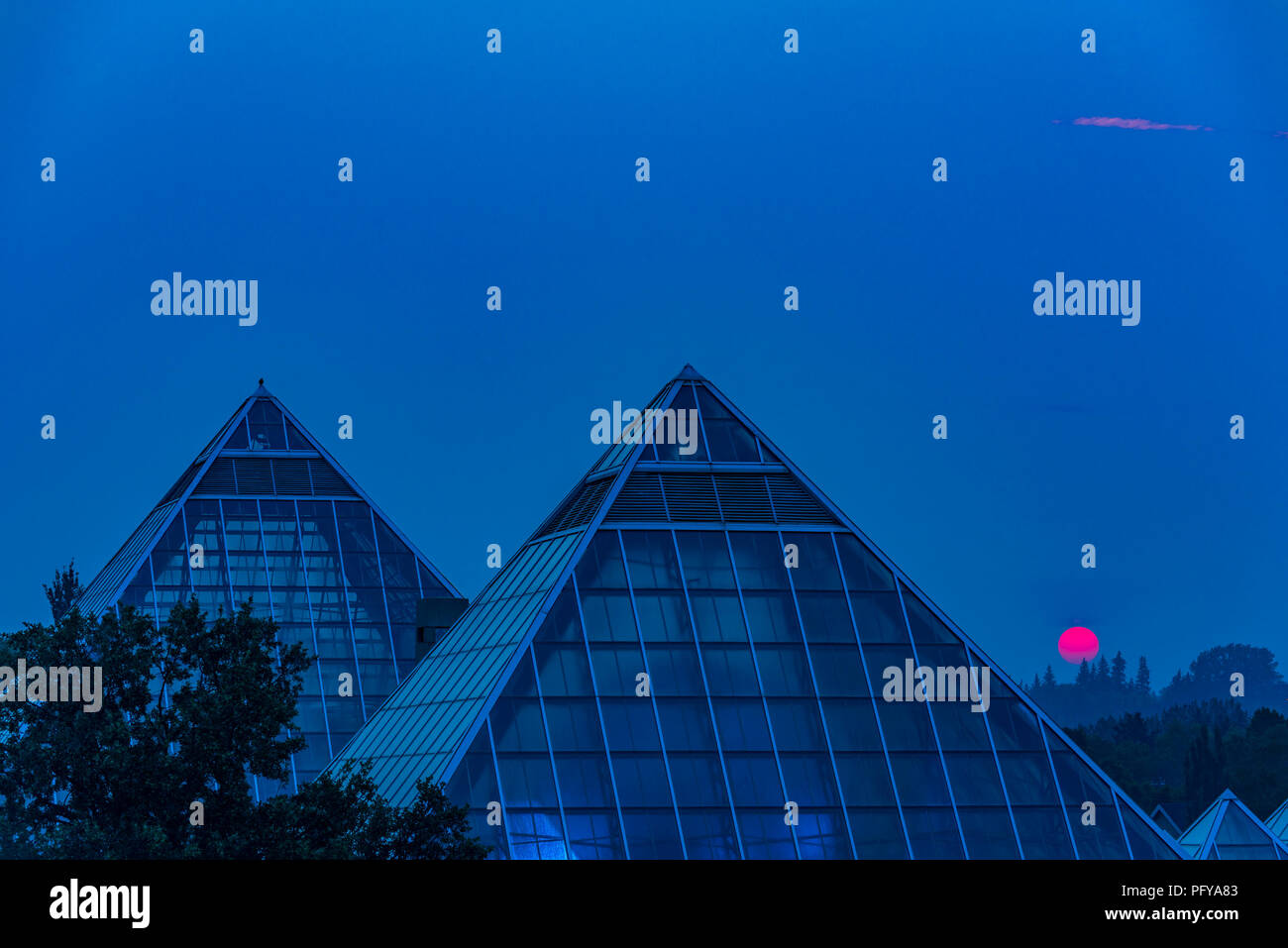 Sun rises through smoke filled sky, Muttart Conservatory Pyramids ...
