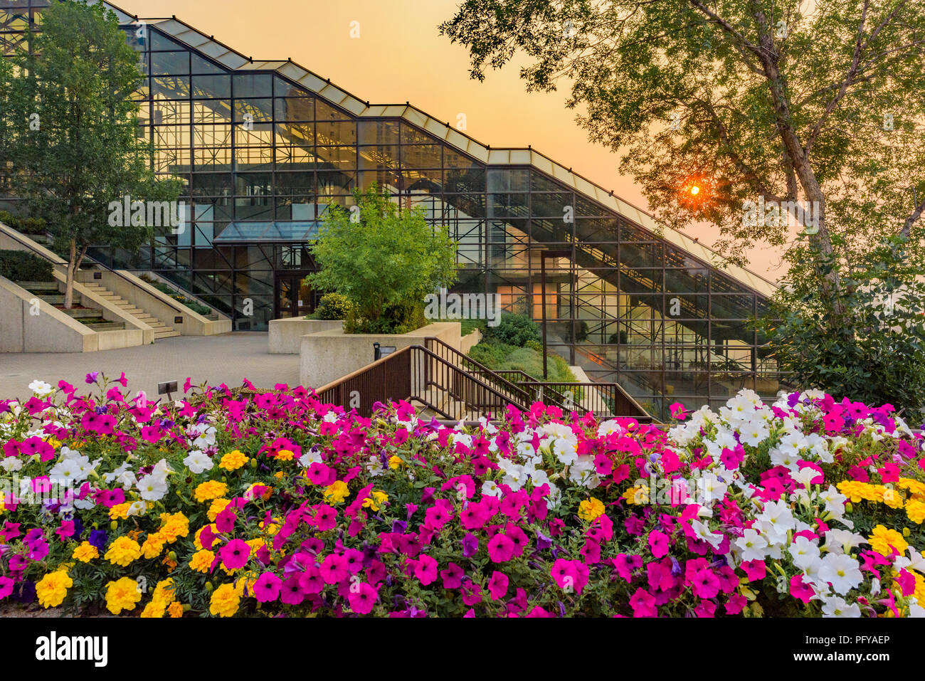 Garden outside Shaw Conference Centre, Edmonton, Alberta, Canada Stock ...