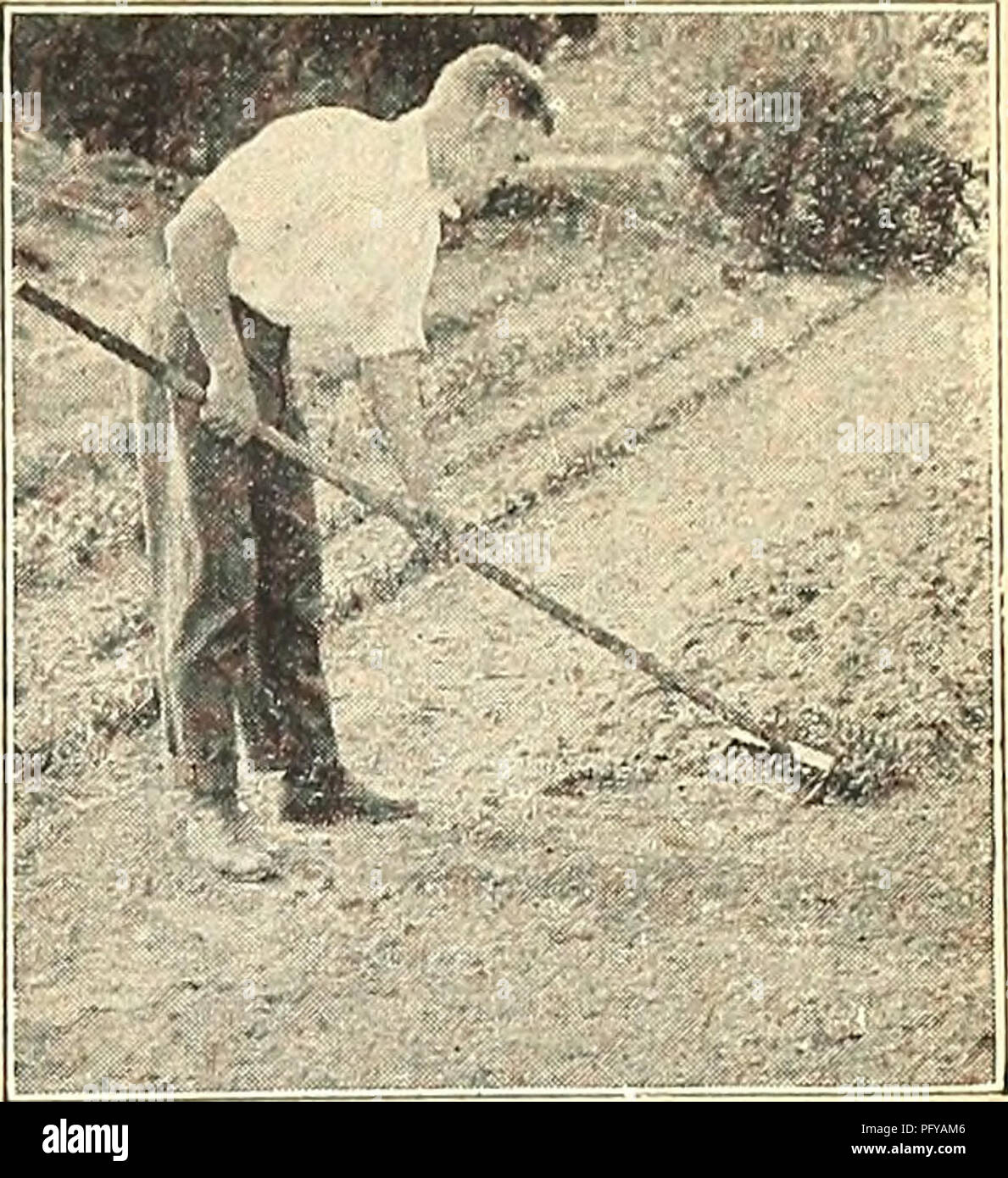 Chisel Shaped Teeth High Resolution Stock Photography and Images - Alamy