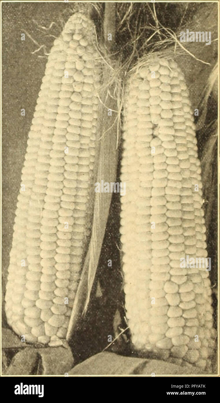 This 1922 catalog from Currie's Farm & Garden offers guidance on ...