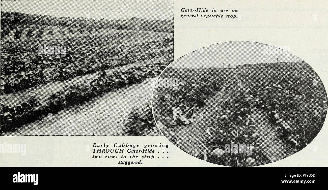 Saskatchewan farm 1930 hi-res stock photography and images - Alamy