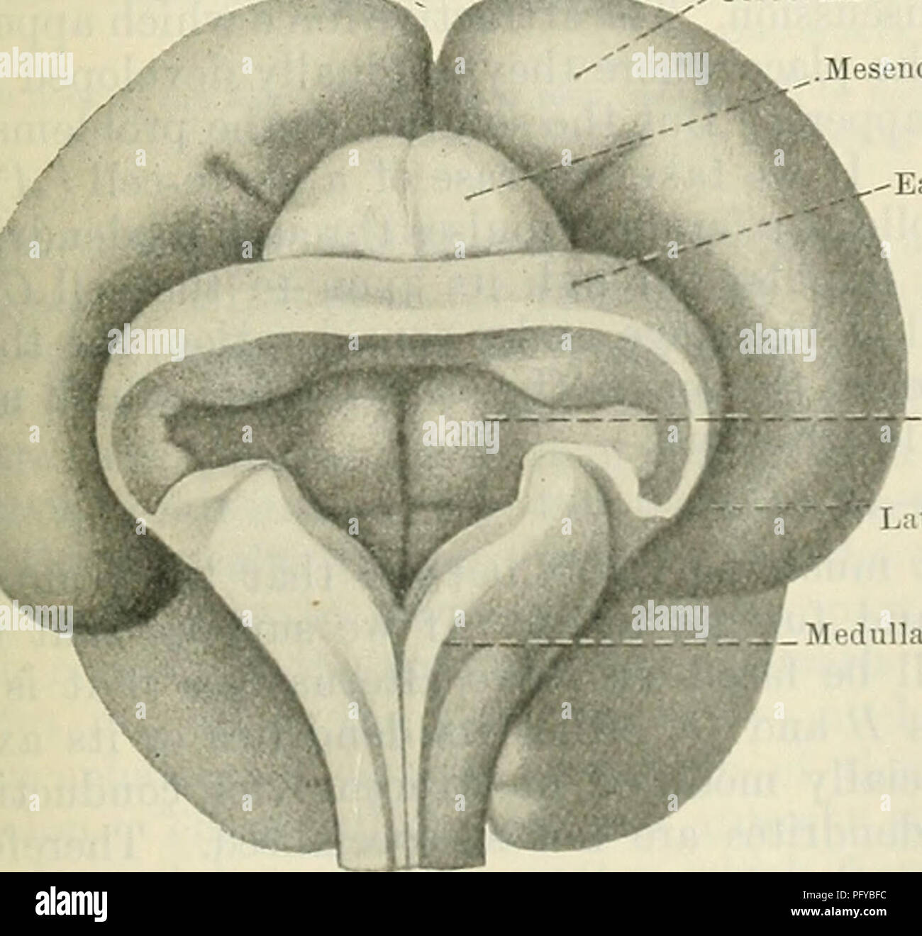 Alar plate hi-res stock photography and images - Alamy