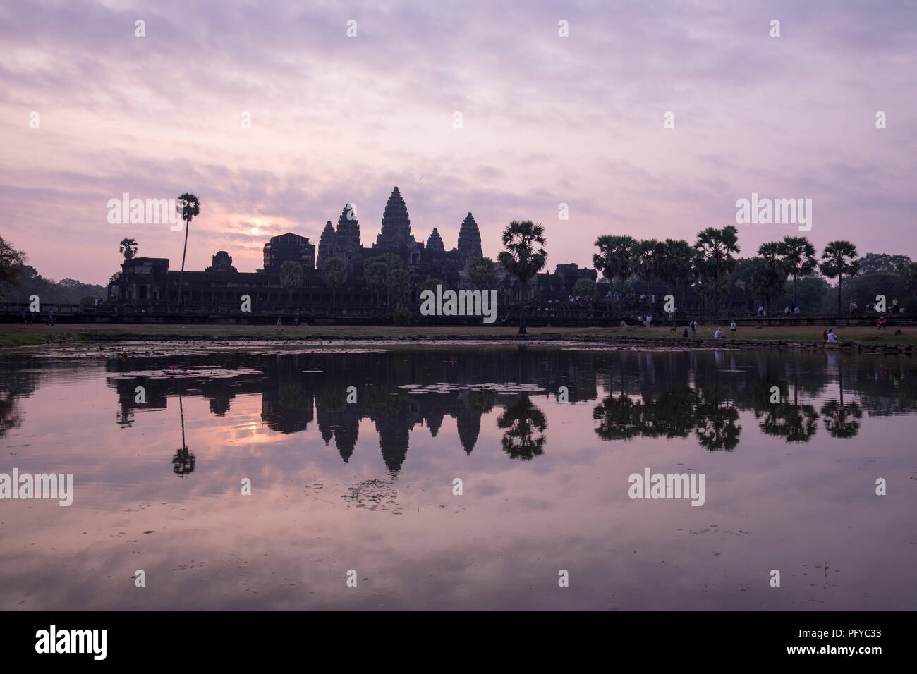 An old temple in cambodia full of plans and trees over grown Stock ...