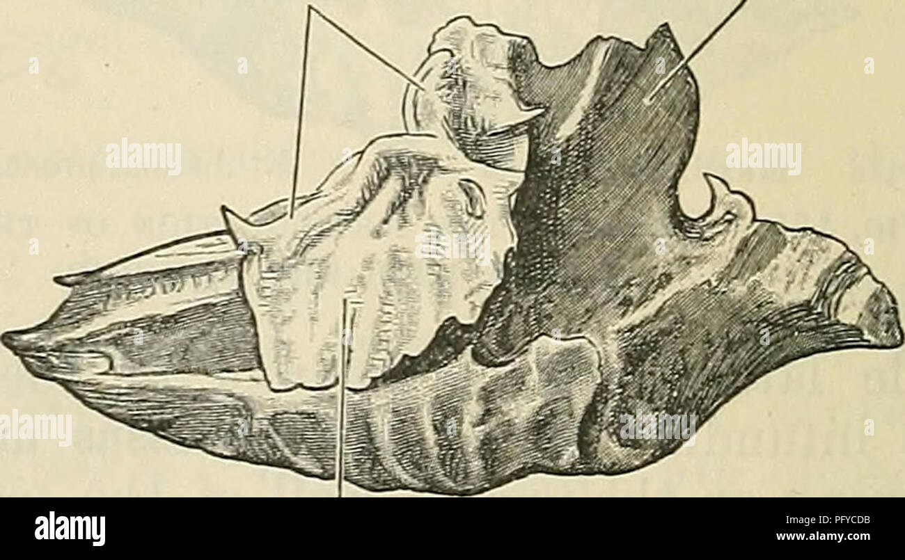 This textbook provides detailed illustrations and descriptions of human ...