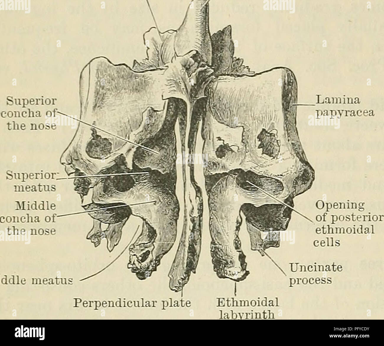 This textbook provides a detailed study of human anatomy, focusing on ...