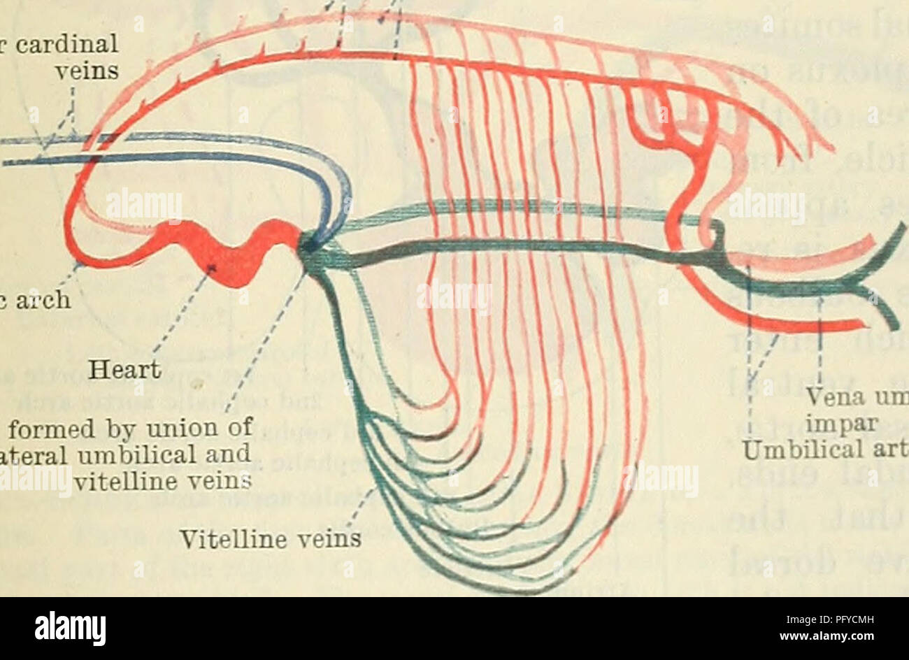 This textbook offers detailed diagrams and descriptions of human ...