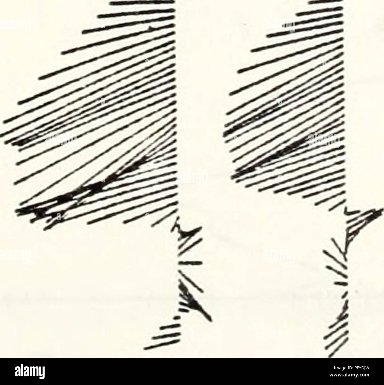 Current meter data collected from the slope waters off central ...