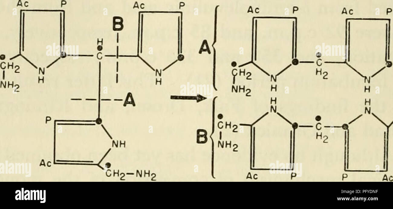 This image features biochemical research related to the formation of ...
