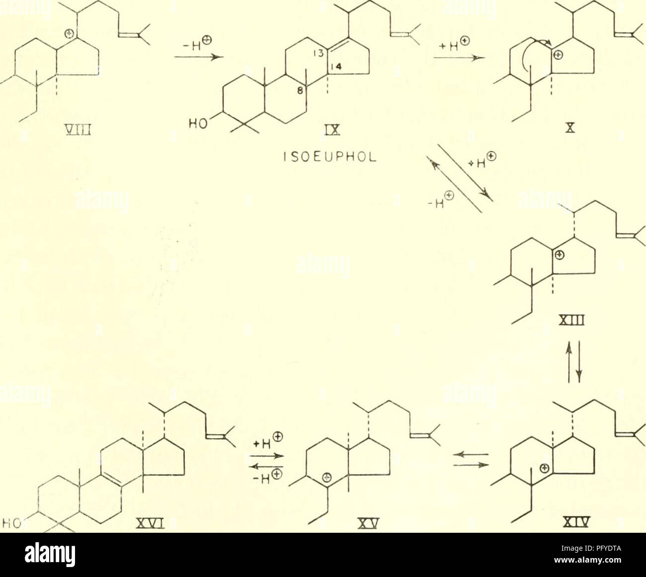 Biochemical mechanism hi-res stock photography and images - Alamy
