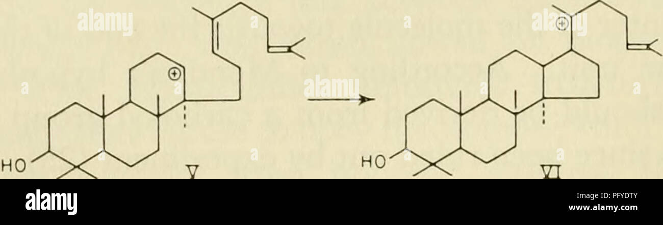 Cyclization reaction hi-res stock photography and images - Alamy