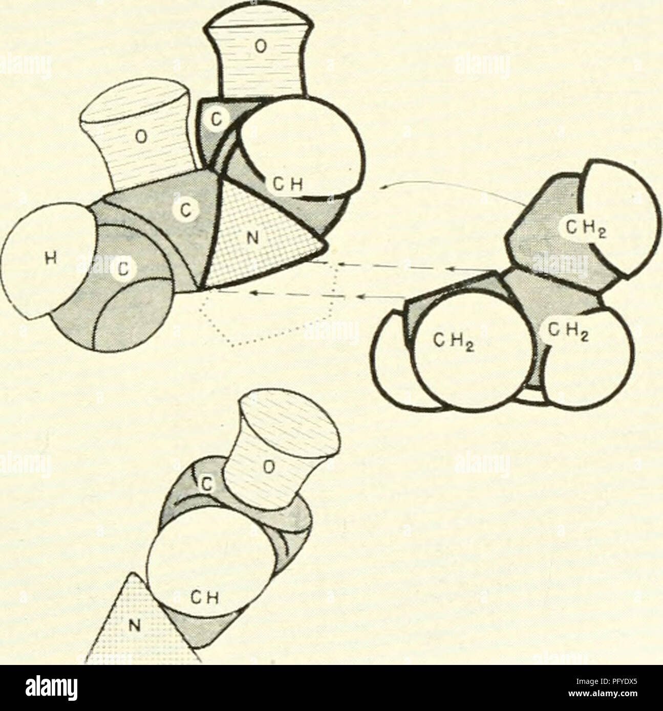 . Currents in biochemical research, 1956; twenty-seven essays charting ...