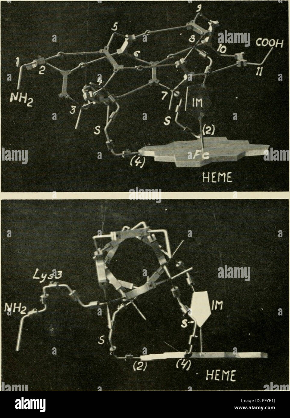 This collection of essays highlights the advancements in biochemical ...
