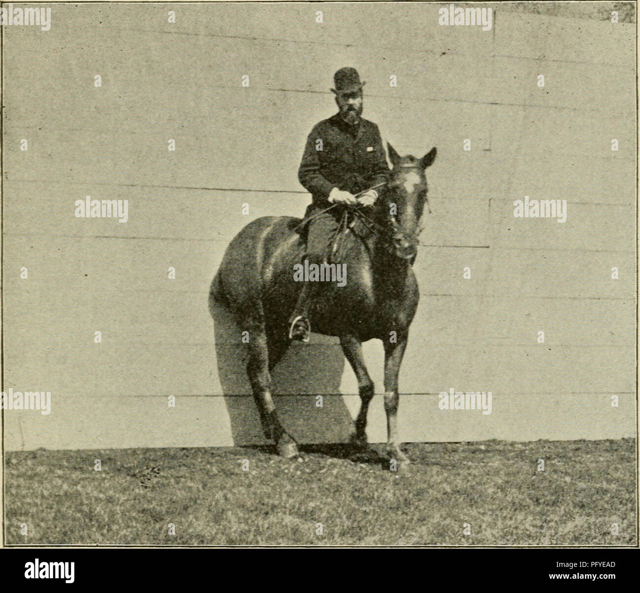 This guide outlines methods for training young horses, particularly for ...