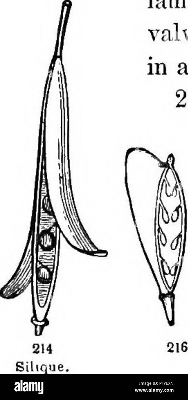 Open valves Black and White Stock Photos & Images - Alamy