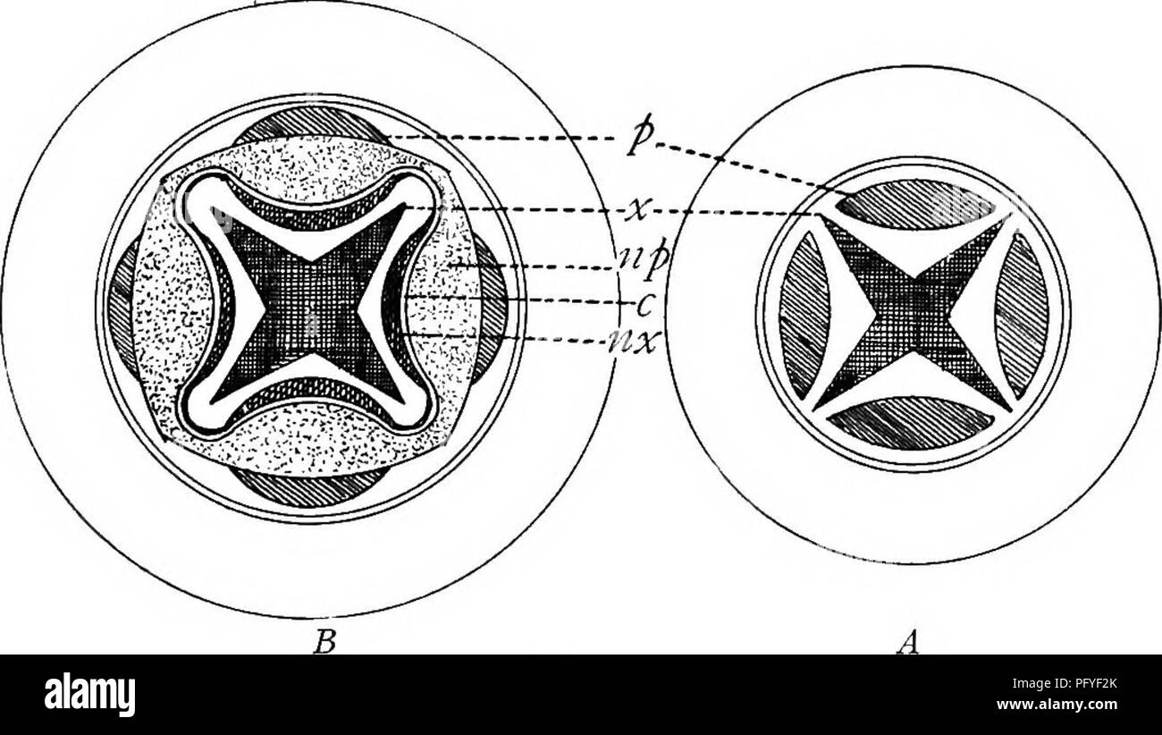 . A text-book of botany for secondary schools. Botany. Fig. 72 ...