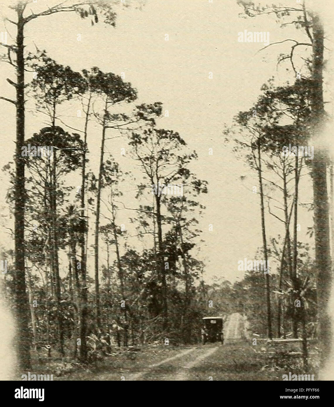 This publication provides an in-depth look at infrastructure ...