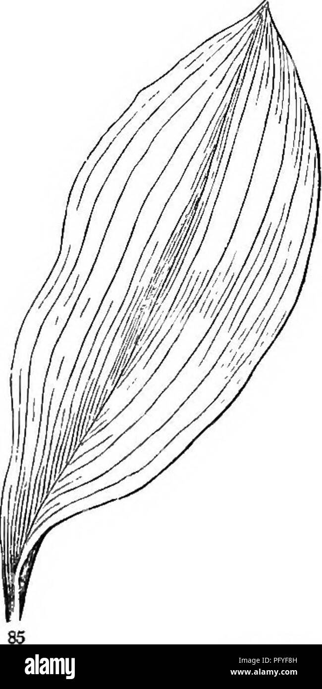 This introductory botany guide for students explores how plants grow ...
