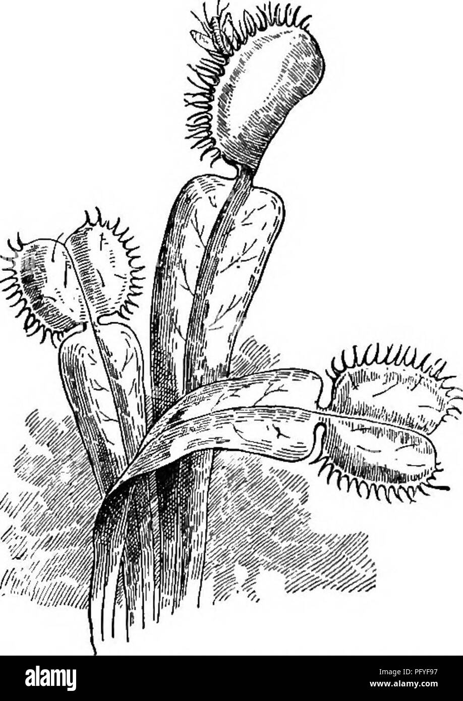 School adaptations Black and White Stock Photos & Images - Alamy