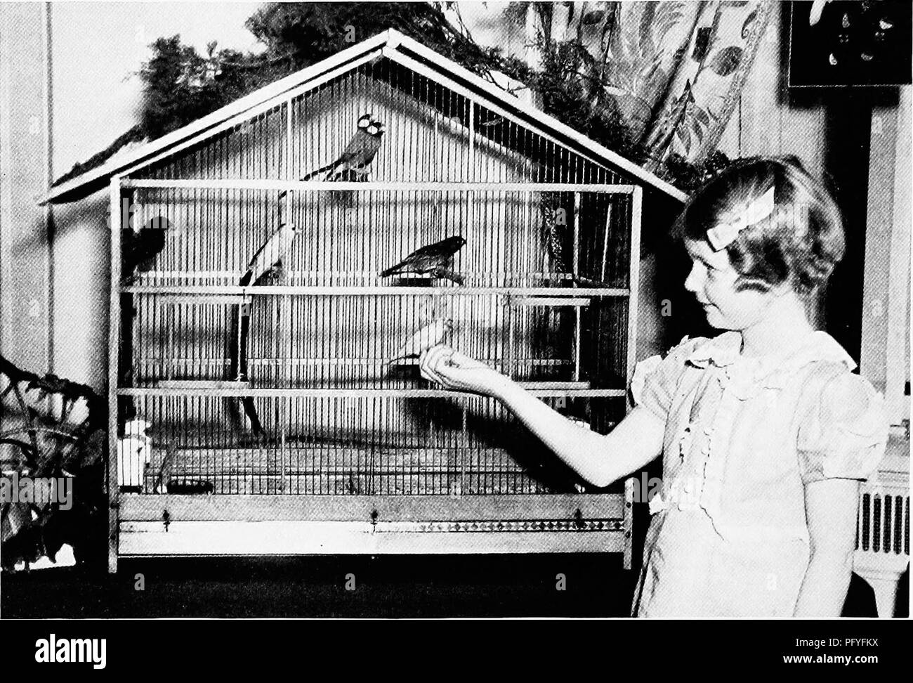 An article from National Geographic covering the third annual ...