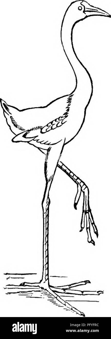 Fieldwork guide Black and White Stock Photos & Images - Alamy