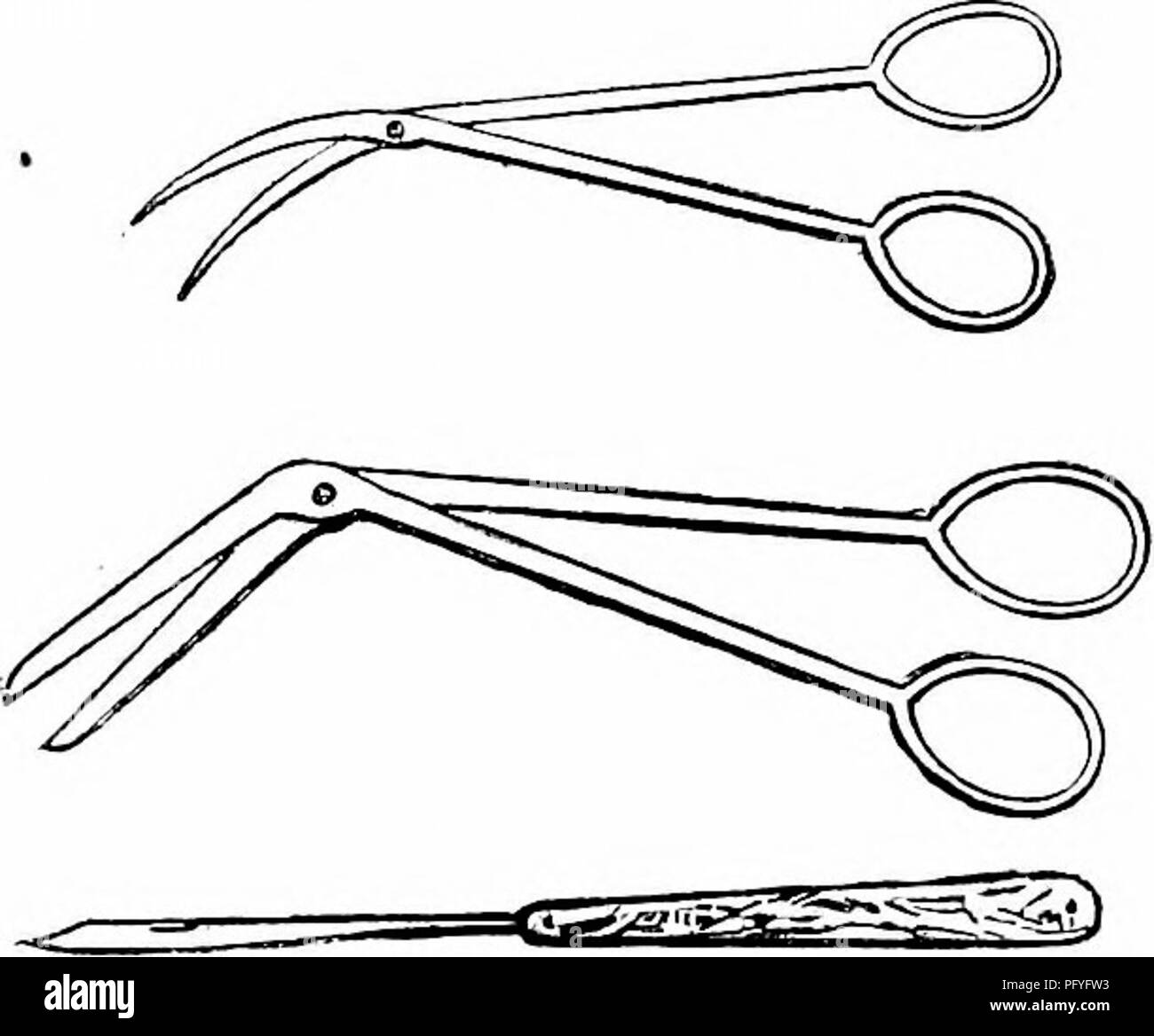 This comprehensive guide provides a detailed key to North American bird ...