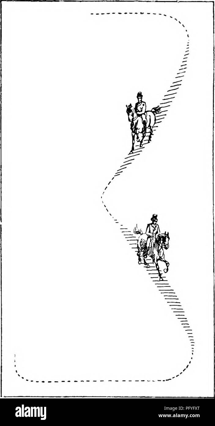 This work on horsemanship covers techniques for managing horses during ...