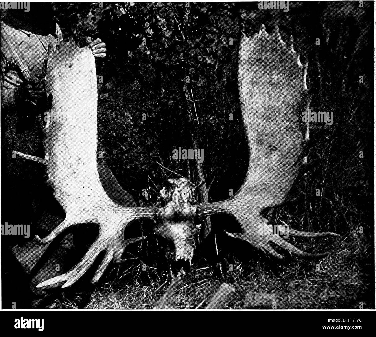 Kenai river Black and White Stock Photos & Images - Alamy