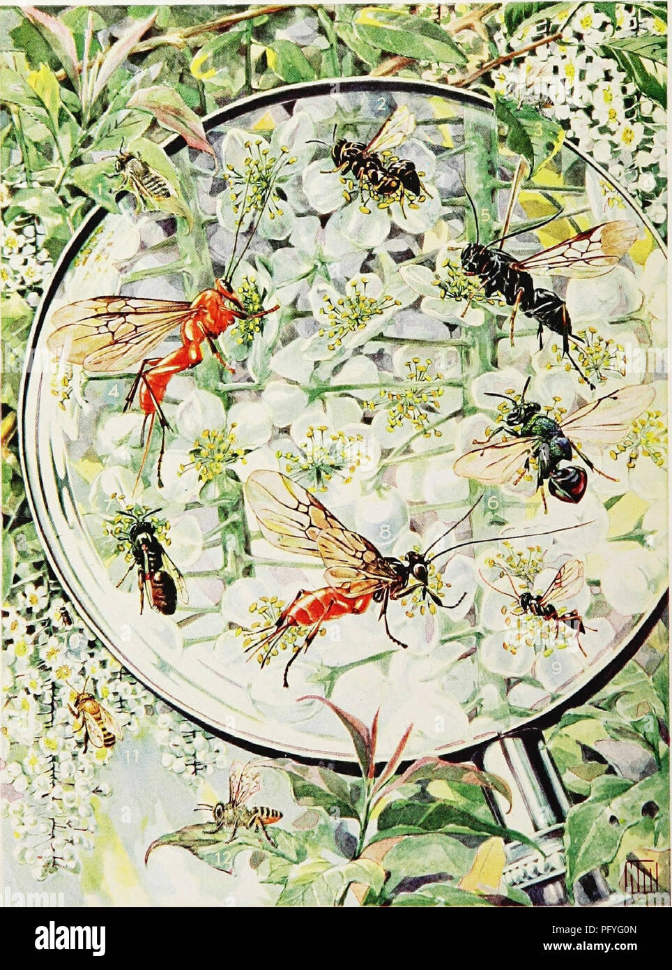 This article collection from National Geographic covers various bird ...