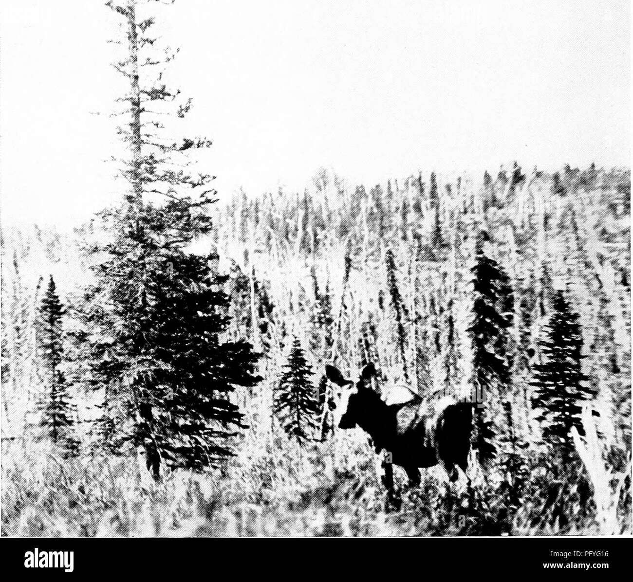 Corroborated hi-res stock photography and images - Alamy