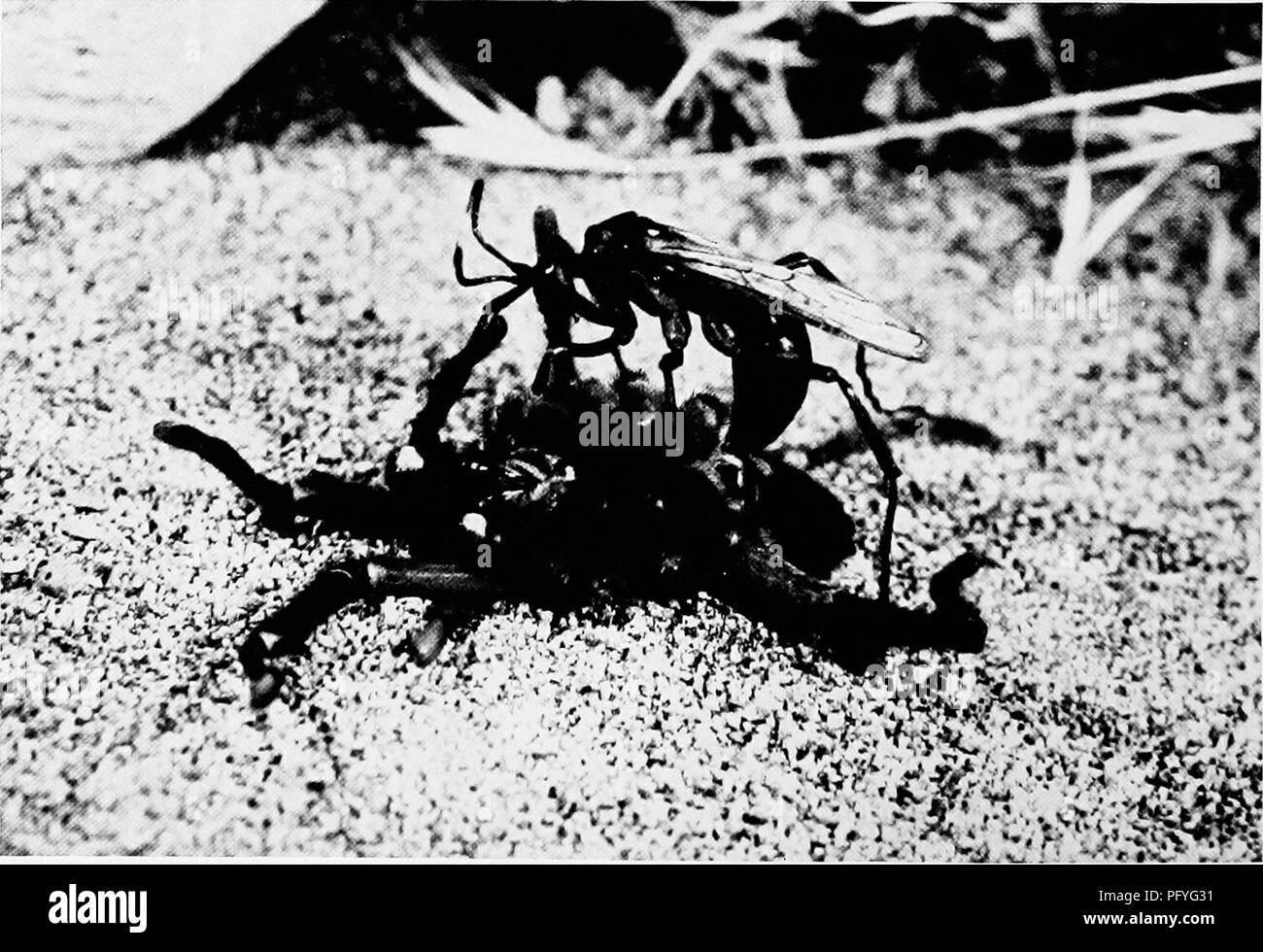 This article from National Geographic describes the dramatic battle ...