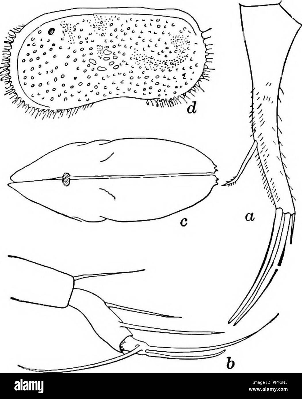 This work covers the study of freshwater biology, focusing on species ...