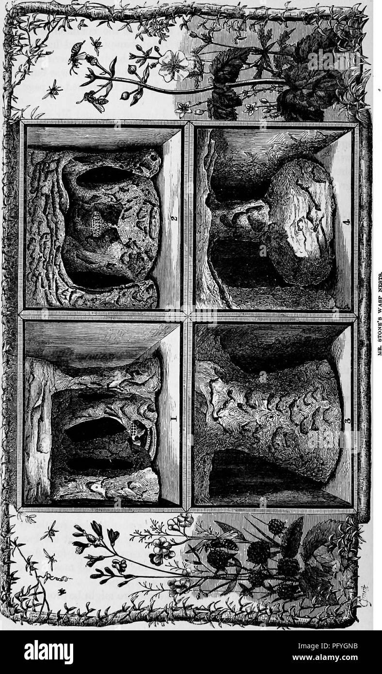 This book describes various animal habitats, categorizing them based on ...