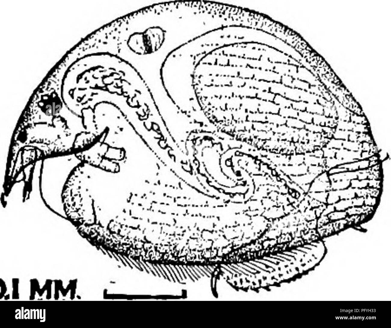 Spherical lower part hi-res stock photography and images - Alamy