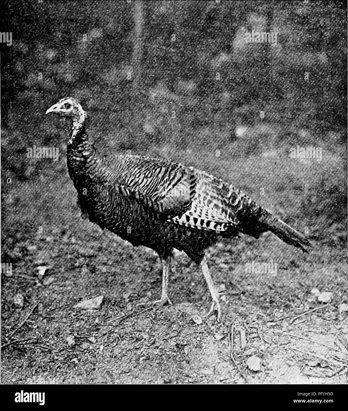 Rived hi-res stock photography and images - Alamy