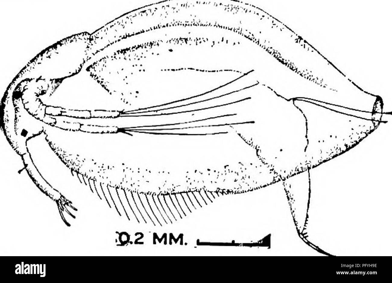 Spherical oval Black and White Stock Photos & Images - Alamy