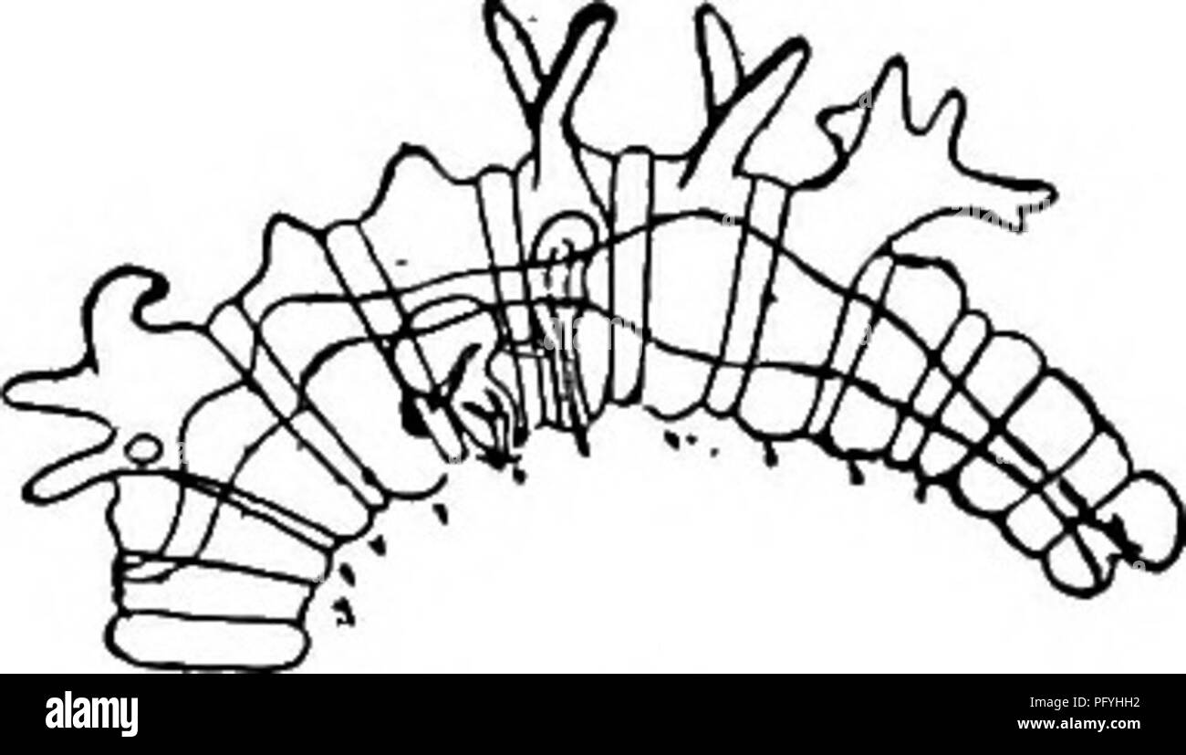 . Fresh-water biology. Freshwater biology. 644 45 (i) FRESH-WATER ...