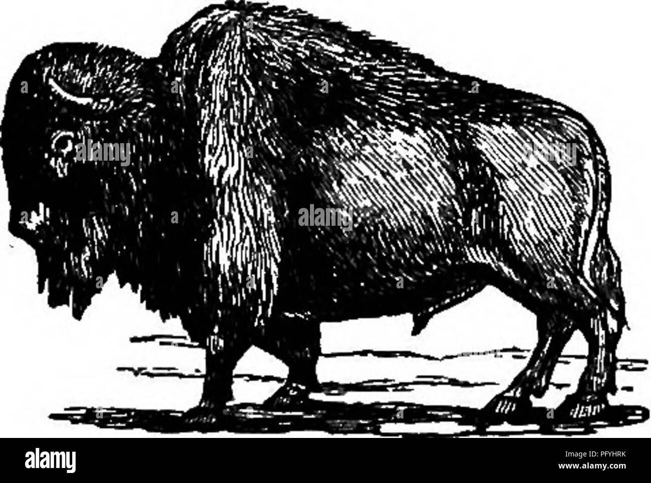 Mangling hi-res stock photography and images - Alamy