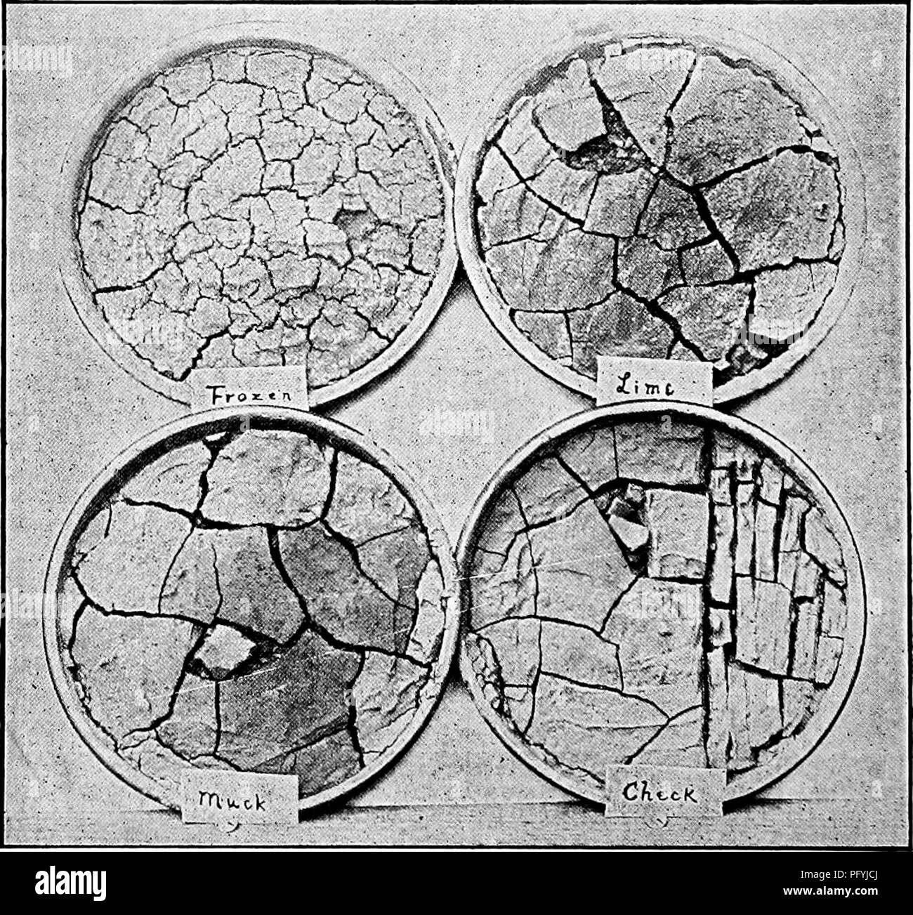 Raking soil stones hi-res stock photography and images - Alamy