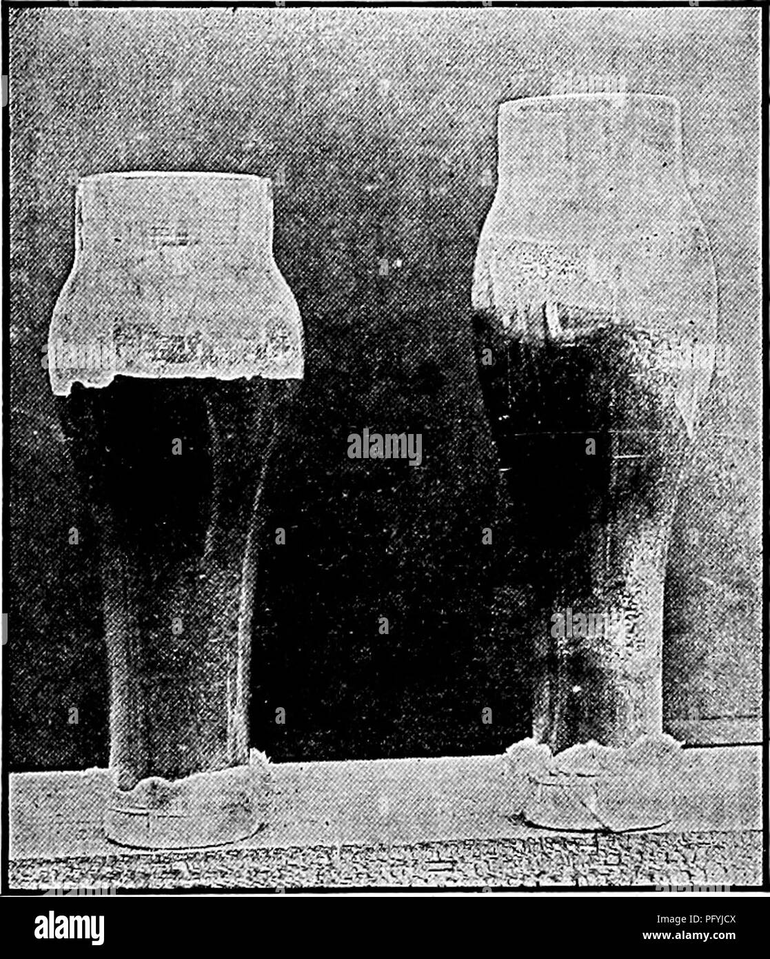 This image is from a nature-study handbook that explores soil ...