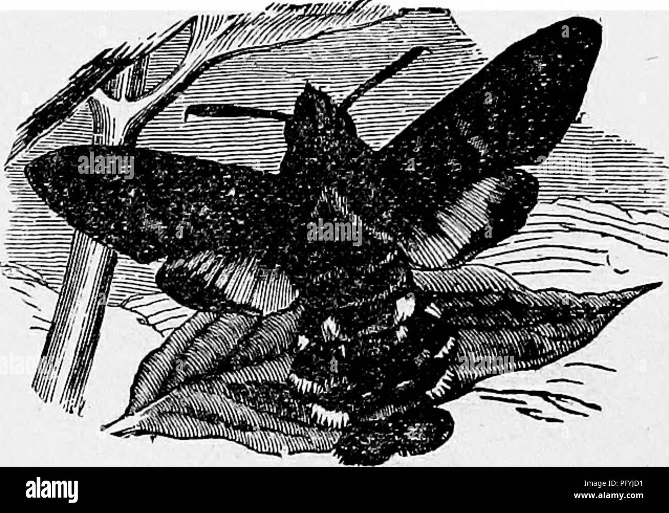 Ground whitish Black and White Stock Photos & Images - Alamy