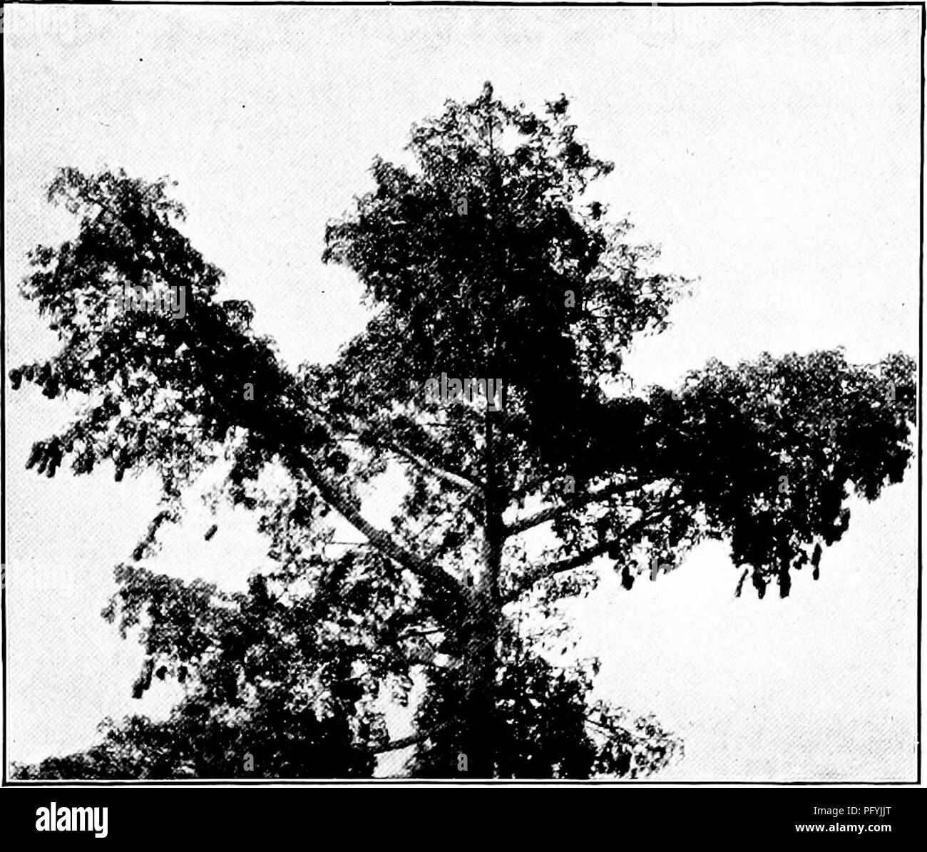 150 feet long hi-res stock photography and images - Alamy