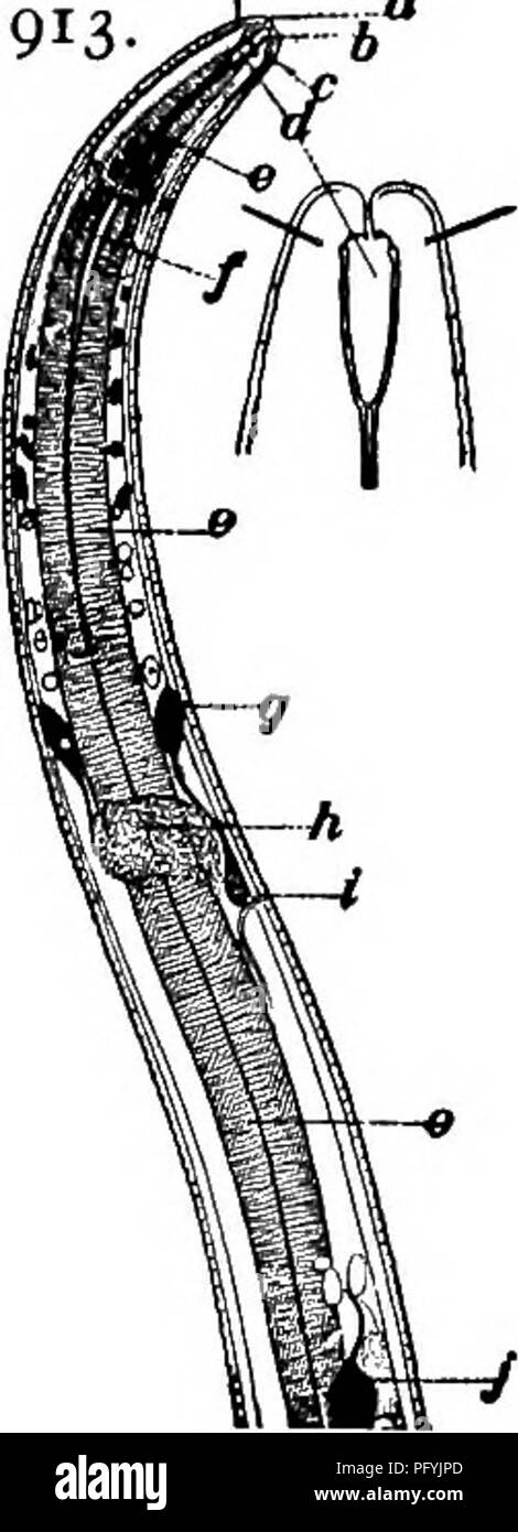 The image from a freshwater biology text shows the habitat and ...