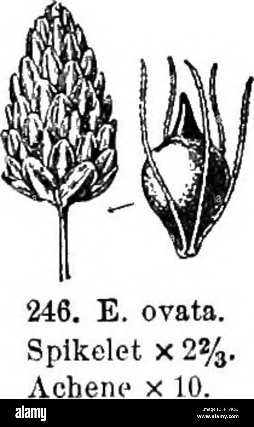 15 2 10 5 cm hi-res stock photography and images - Alamy